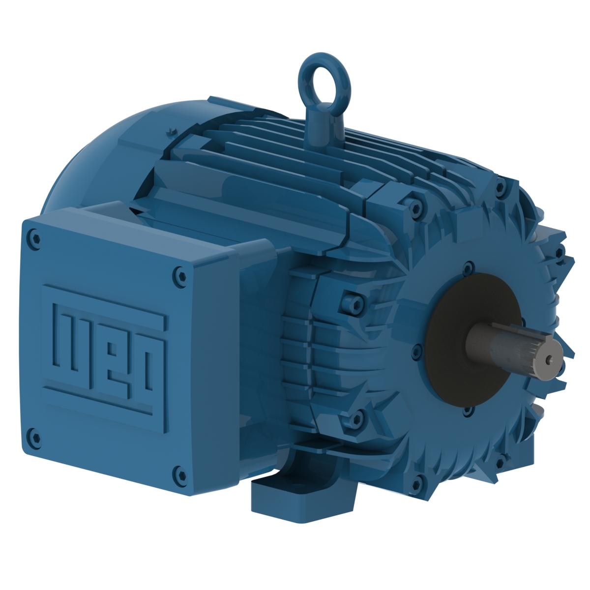 Hazardous Duty/Explosion Proof Motors - ErieTec Inc